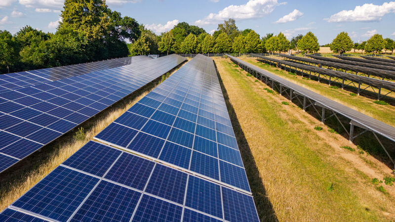 Projects - Compliance Professionals